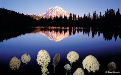 David Muench - Alchetron, The Free Social Encyclopedia